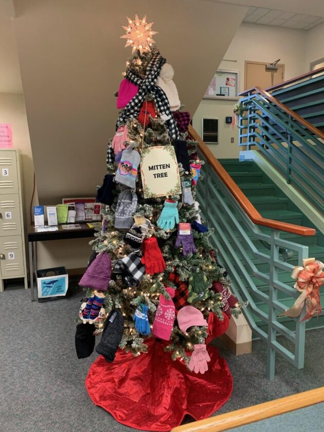 Mitten tree on display | News, Sports, Jobs - The Times Leader